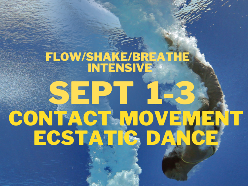 🔥 Ignite Your Dancing Avatar:3-Day Healing Dance Retreat - Hipsy