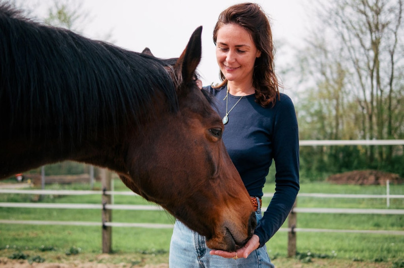 Opstelling of coaching met paarden - Hipsy