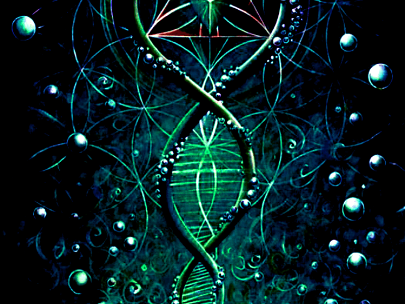 Chakra Experience: Kroon - Hipsy