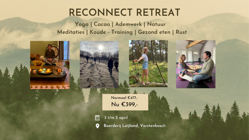 Reconnect Retreat - Hipsy