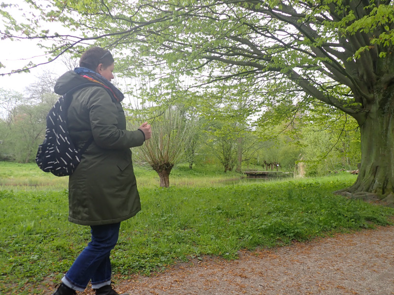 Bomen voelen in Delft - Hipsy