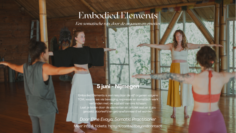 Embodied Elements - Organen TCM - Nijmegen - Hipsy
