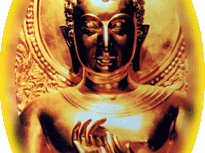 Stilte Retreat / Vision Quest - Hipsy