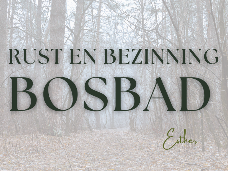 Bosbad: rust en bezinning - Hipsy