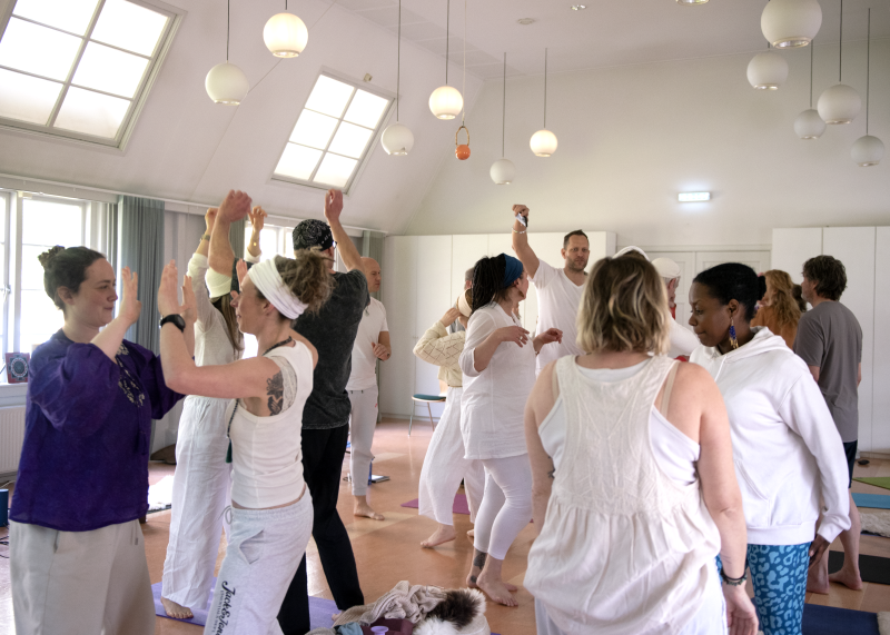 Lifeforce Experience - Hipsy