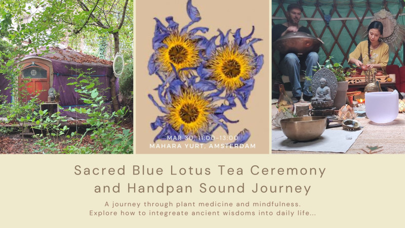 Blue Lotus Tea Ceremony with Handpan Sound Journey - Hipsy