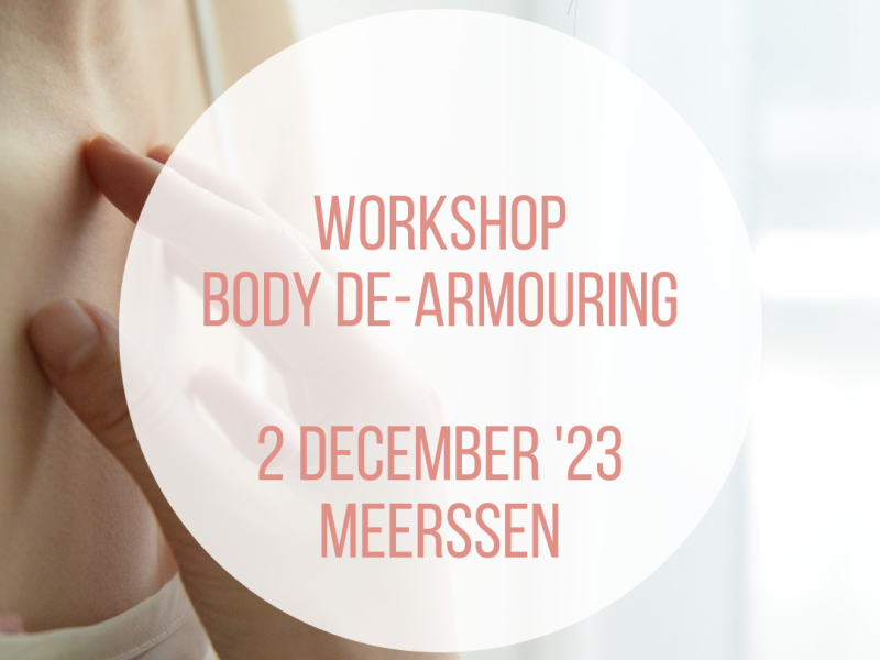 Workshop Body De-armouring - Hipsy