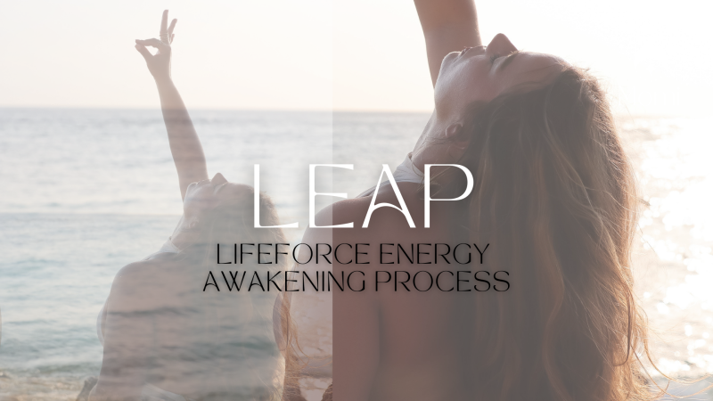 Studio Momi Megan - Hipsy