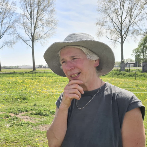 paardencoach mini traject IN VERBINDING met HOOFD, HART en BUIK - Hipsy