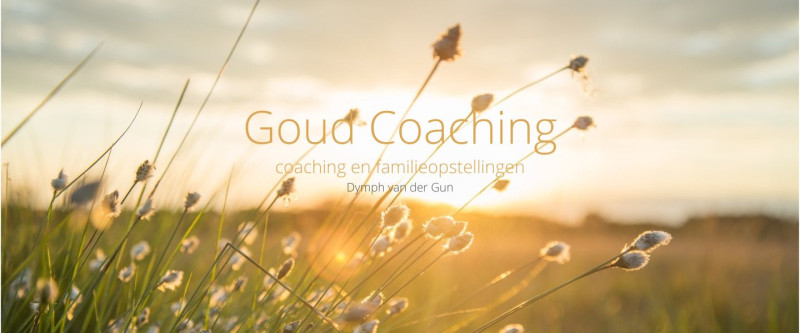 Goud Coaching - Hipsy