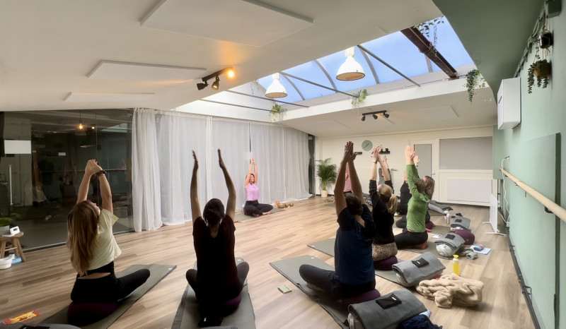 Rising Roots - Hipsy