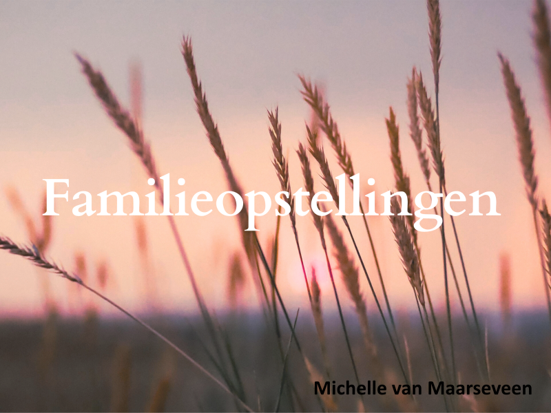 Evenementen van Michelle van Maarseveen - Familieopstellingen - Hipsy Shop