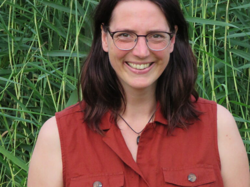 Levensverbinding - Hipsy