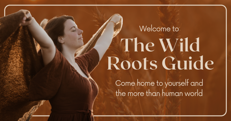 The Wild Roots Guide - Hipsy