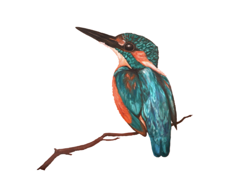 Studio Vliegenbos - Hipsy