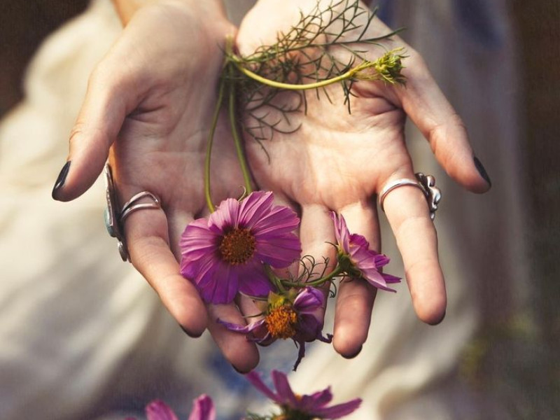 studio SoulDesign - Hipsy