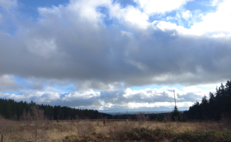 Agnes van der Werf Coaching & Begeleiding - Hipsy