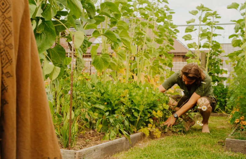 Evenementen van Rooted Conscious Cooking - Hipsy Shop