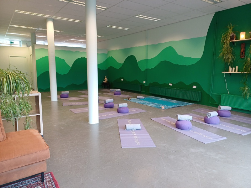 Het Element Zaandam - Hipsy