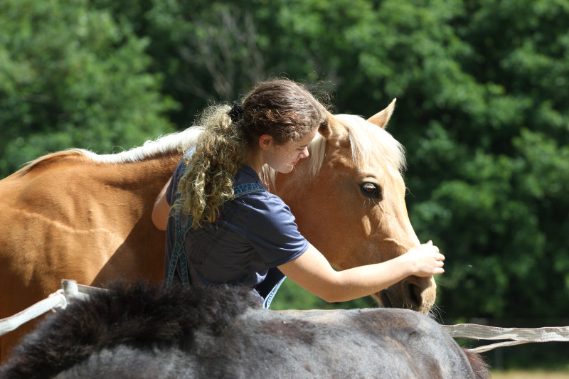 Shona Coaching - Hipsy