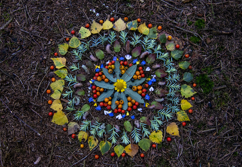 Natuurkunstenaar - Hipsy