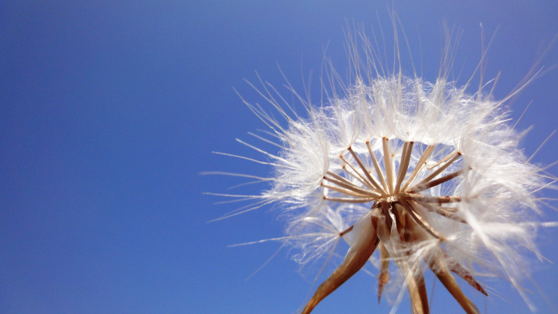 intentie IS essentie - Hipsy