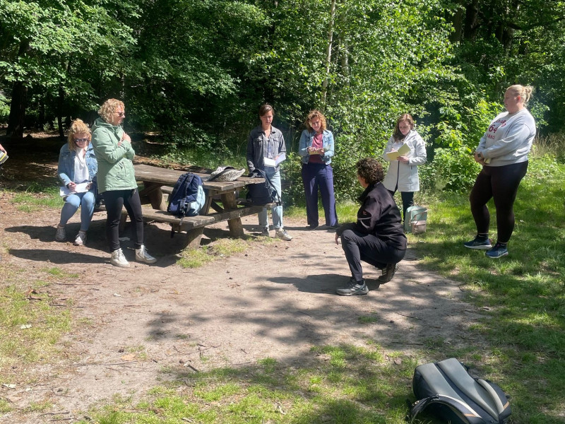 IMVA | AMBITIE Academie - Hipsy