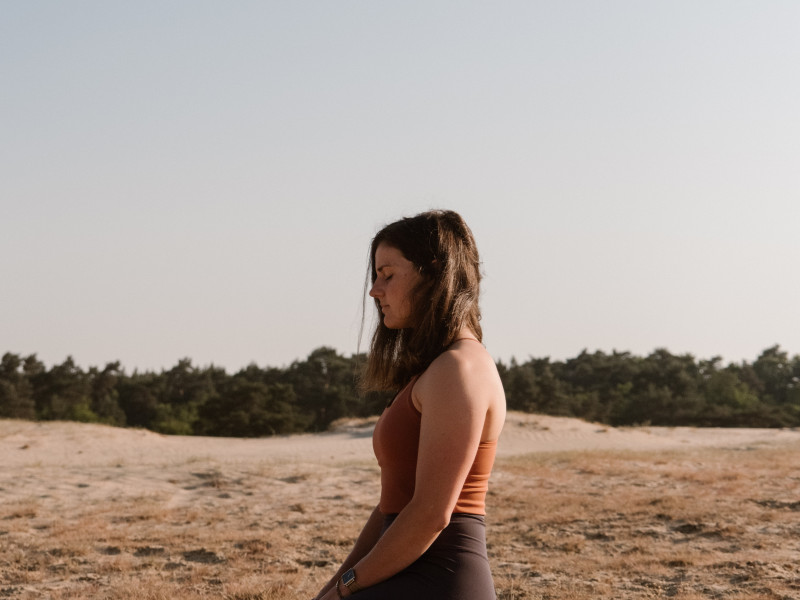 The Movement - Hipsy