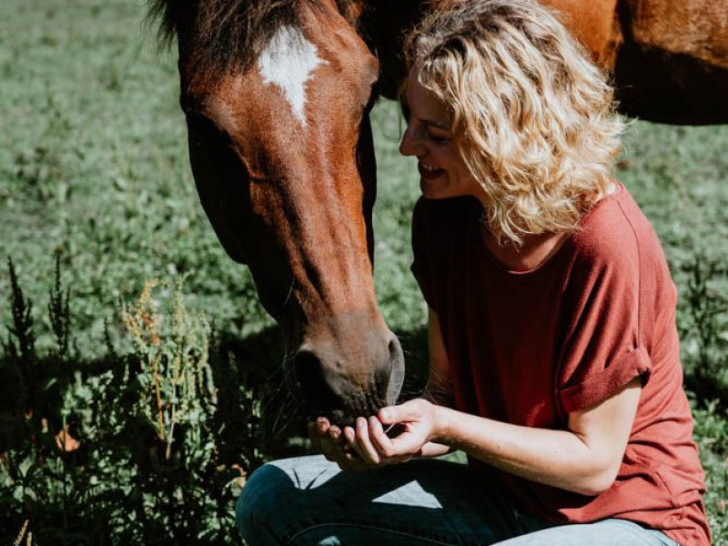 Wisdom Within - Hipsy