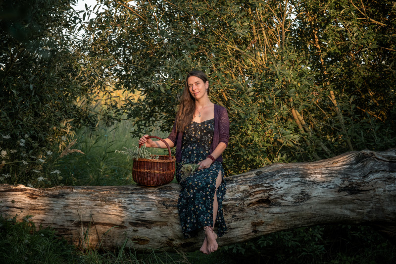 Het Dwaalspoor - Hipsy