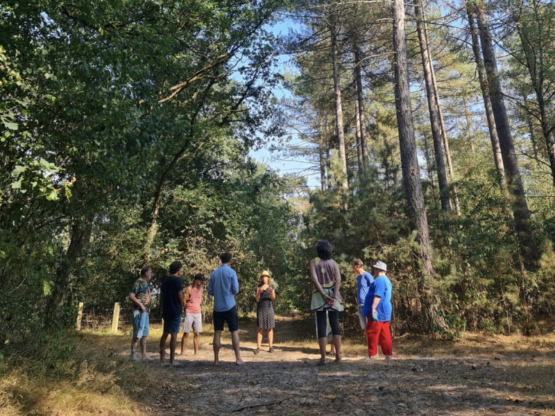 Speelse Blik - Hipsy