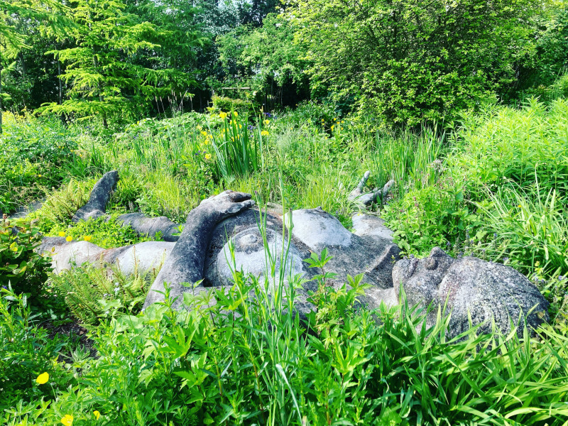 In Levende Lijve | Therapie & Coaching - Hipsy