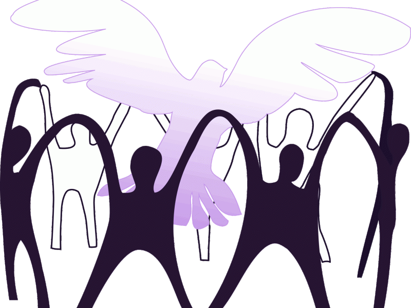 De Wite Fûgel - Hipsy