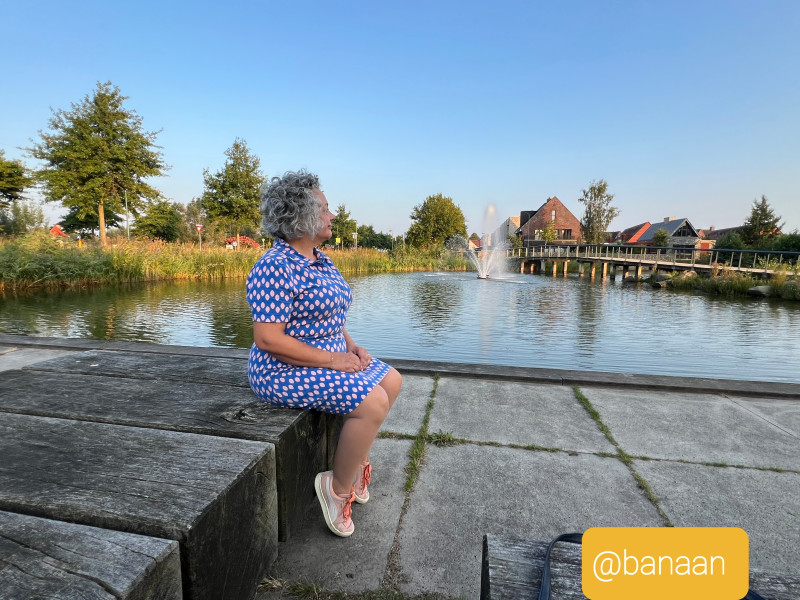 Het glazen Bos - Hipsy