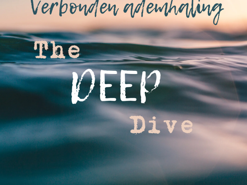 The Deep Dive - Hipsy