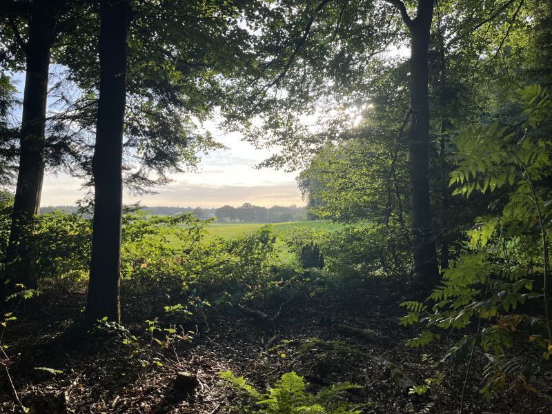 Vrij Verbonden - Hipsy