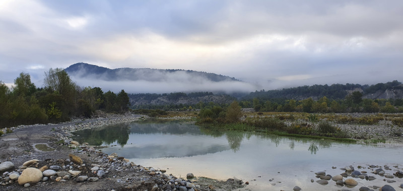 Grow Inner Flow - Hipsy