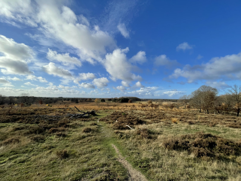 Effectieve Therapie en Coaching - Hipsy