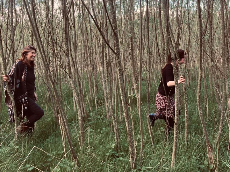 Rosanna's Garden - Hipsy