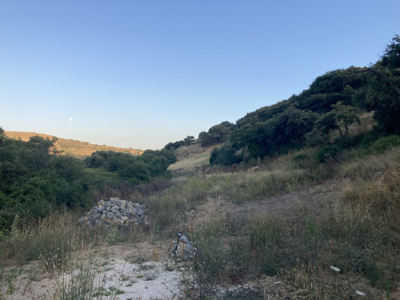 Emma van den Boogert - Hipsy