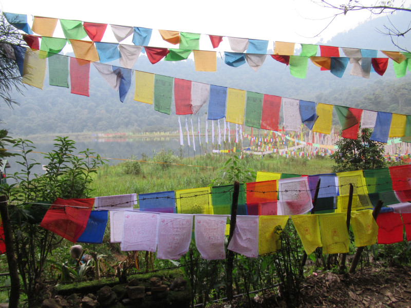 Jewel Heart Nederland - Hipsy