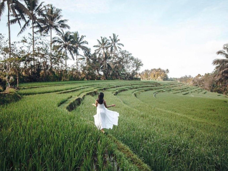 YourSoulTreat body-mind programs - Hipsy