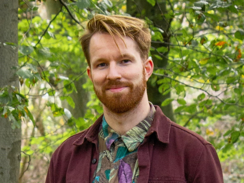 The Forest Movement - Hipsy