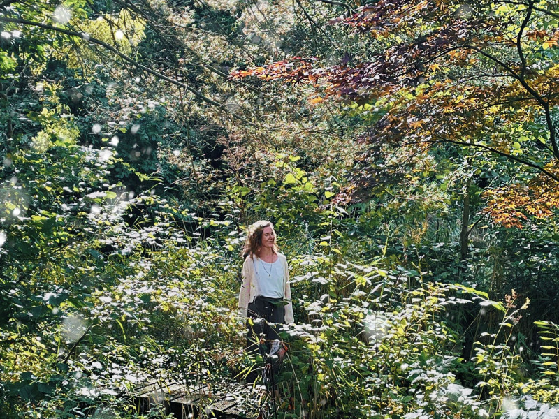 Transformatiewerk Eva - Hipsy