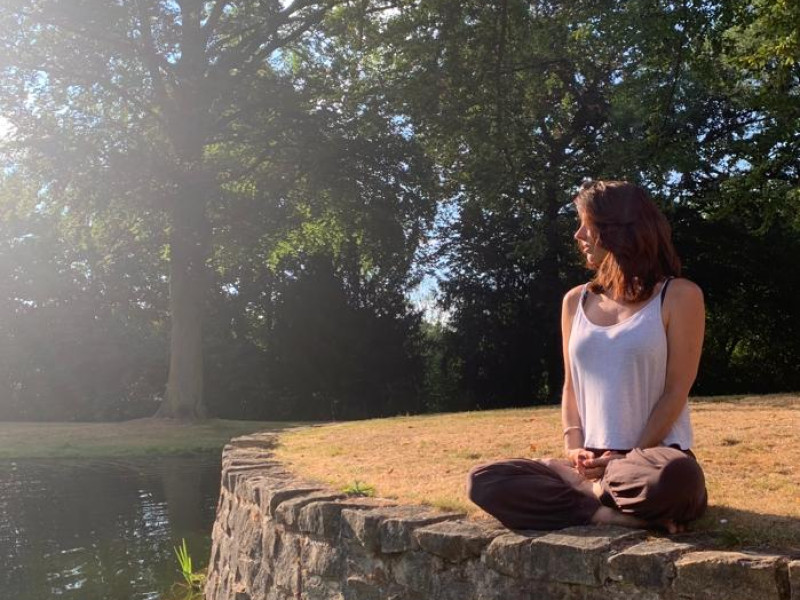 Dancing Tree - Hipsy