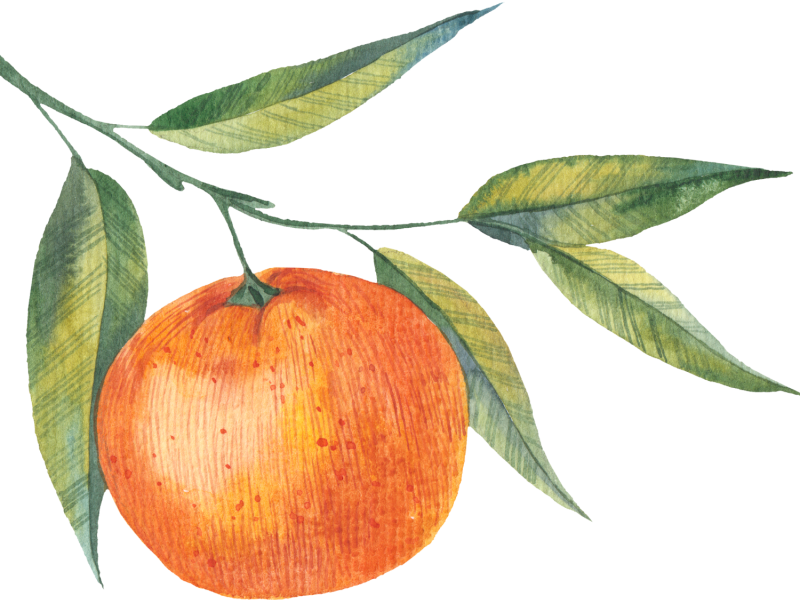 Atelier de Clementine - Hipsy