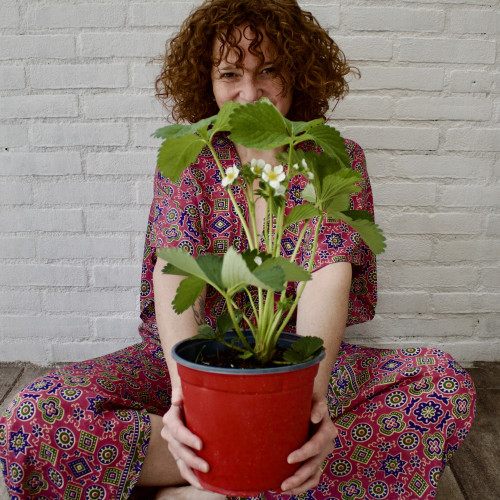 Tickle Therapy - Hipsy