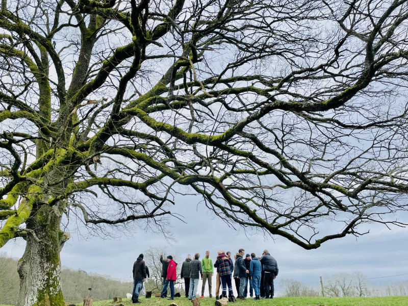 Heart Of Men - Hipsy