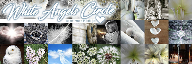 White Angels Circle - Hipsy