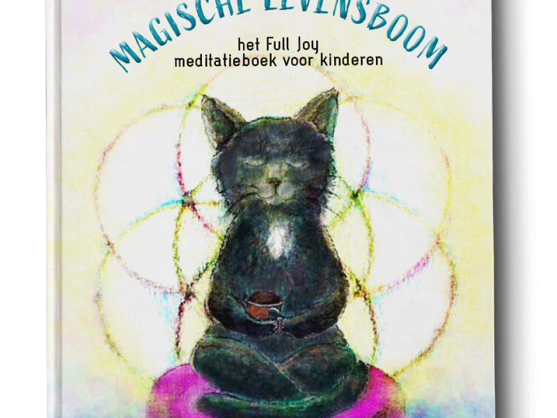 Full Joy Coaching - Hipsy